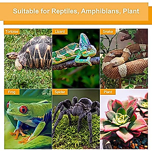 KABASI Reptile Heat Lamp Fixture with 2 Bulbs, UVA + UVB Full Spectrum Sun Lamp with 360°Rotatable Clips and Dimmable Switch, Basking Spot Heating Light Lamp for Lizard Turtle Snake Amphibian, 25W+50W