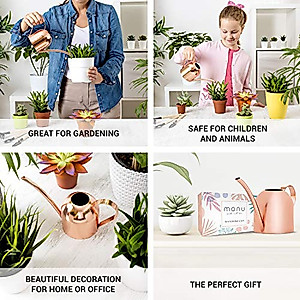 MOnu Small Metal Watering Can - Cute Mini Indoor Decorative Watering Pot for Desk Office House Plants Orchids Herbs Bonsai Succulents - Gardening Tool Sprinkler with Long Spout - 15oz/500ml Rose Gold