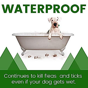 Adventure Plus Flea Prevention for Dogs, Topical Flea Treatment and Control (Pack of 8, Small (3-10 lb))