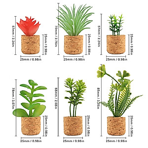 Wresty Cactus Refrigerator Magnets Mini Cute Succulent Plant Fridge Magnet Button Decoration Accessories for Home Kitchen Office (6 pcs)