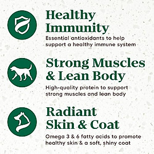 Nutro Ultra Adult Dry Dog Food with a Trio of Proteins from Chicken, Lamb and Salmon, 13 lb. Bag