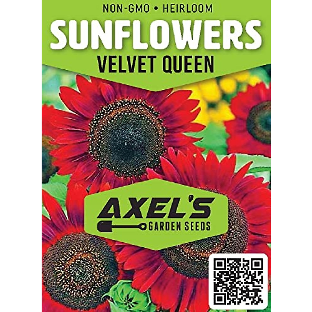 Sunflower Seeds for Planting - Grow Red Velvet Queen Sun Flowers in Your Garden - 25 Non GMO Heirloom Seeds - Full Planting Instructions for Easy to Grow - Great Gardening Gifts (1 Packet)