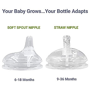 Anpei Straw and Sippy Cup Transitional Nipples Set of 2 with Nipple Storage Case Compatible with Comotomo Baby Bottles, 5 oz and 8 oz