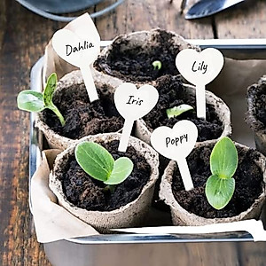 20 Bottles of Super Green Lucky Green Bamboo Plant Food with Heart Garden Labels