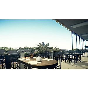 DEADLY PREMONITION 2 : A BLESSING IN DISGUISE - SWITCH