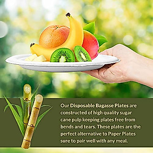 Reli. Compostable Oval Paper Plates, 12 Inch (125 Count) | White, Large Paper Plates | Heavy Duty, Disposable | Disposable Platters (12x10) | Made of Sugarcane Fibers, Bagasse- Biodegradable