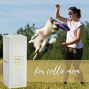 Onebttl Dog Mom Gifts, Dog Lover Gifts for Women, Best Dog Mom Ever, 20 oz Glitter Silver-Gold Insulated Tumbler - Border Collie Mom