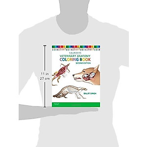 Veterinary Anatomy Coloring Book