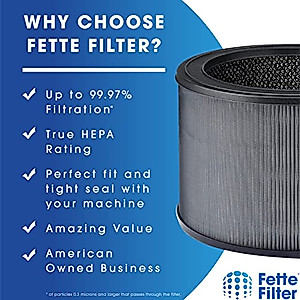 Fette Filter - 2 Premium True Hepa H13 Replacement Filter Size O Compatible with Winix Air Purifier Model A230 A231 Compare to Part # 1712-0110-00, 1712011000