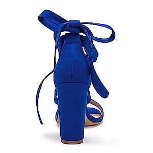 Huiyuzhi Womens Lace Up High Heeled Sandals Chunky Block Ankle Strappy Pumps Dress Party Shoes