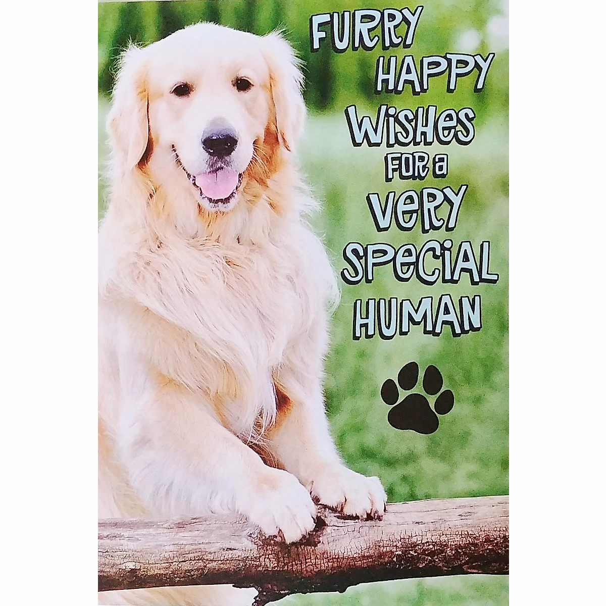 Greeting Card Furry Happy Wishes For A Very Special Human Birthday with Golden Labrador Retriever Dog - With Lots of Nice Wet Kisses and Lots of Snuggles