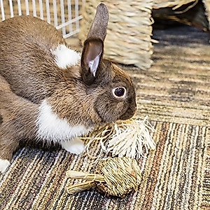 Ware Manufacturing Natural Fun-E-Bunny Small Pet Chew Toy