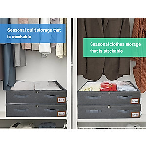 PENGLONG 16 Pairs Adjustable Shoe Organizer for Closet, Wardrobe Clothes Organizer, Space Saving Shoe Bin, Closet Storage Solution Box with Clear Window (Dark grey)