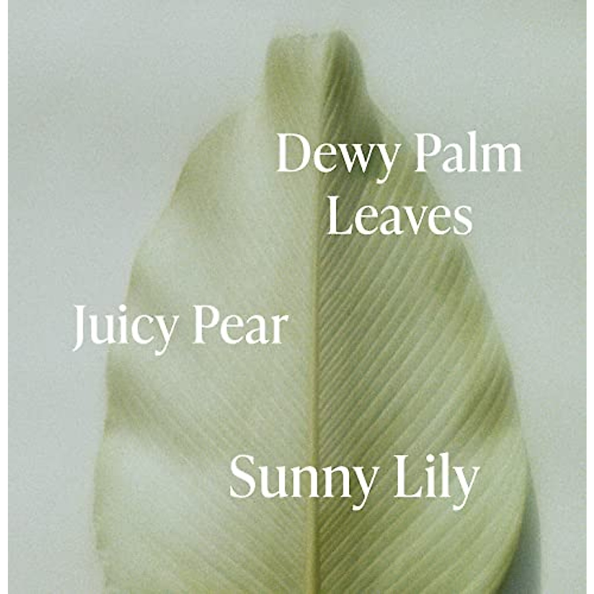 Saltair - Body Lotion (Lush Greens) - 2 Pack