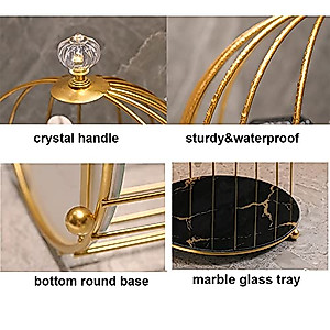 WINTENT Makeup Organizer 2 tier,Cosmetic Organizer Shelf with Removable Glass Tray,Wire Vanity Organizer Rack for Dresser Countertop Bathroom (Black)