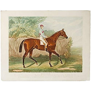 Melton. Winner of the Derby Stakes at Epsom 1885... As a two year old he won the New Stakes at Ascot, The Middle Park Plate and the Criterion Stakes at Newmarket. As a three year old he won the Payne Stakes at Newmarket, also the St. Leger Stakes at Donca