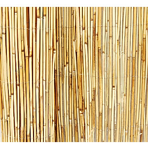 Backyard X-Scapes Natural Reed Fencing Decorative Fence for Backyard Garden Fencing Divider 4 ft H x 8 ft L