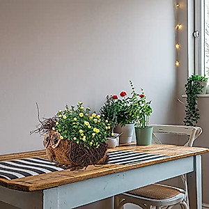 Garneck 1pc Owl Flower Basket Owl Bonsai Pot Rattan Basket Rustic Pots Micro Landscape Pots Wedding Table Centerpiece Animal Flower Outdoor Wall Natural Coco Replacement Liner Coir Plant