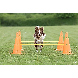 TRIXIE Dog Agility Hurdle Cone Set, Portable Canine Agility Training Set, 6 Exercise Cones with 3 Agility Rods
