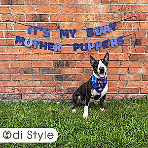 Odi Style Dog Birthday Party Supplies - Dog Birthday Bandana Set - Birthday Boy Bandana for Medium, Large Dogs, Party Hat, Crown and Cute Dog Birthday Banner with It's My Birthday Mother Puppers Sign