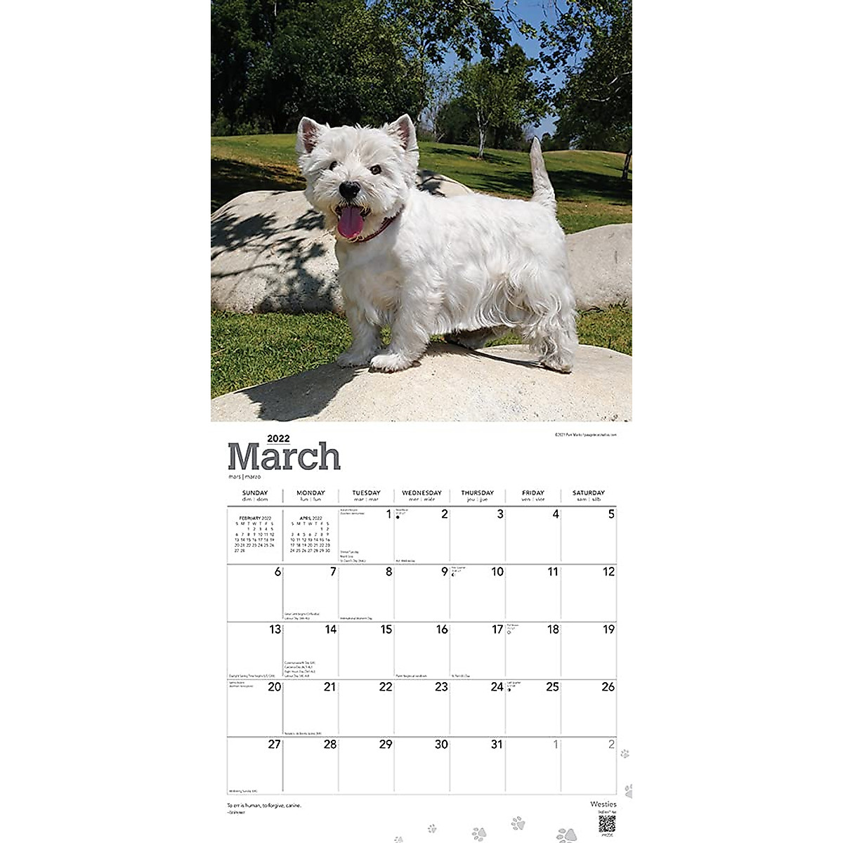 West Highland White Terriers 2022 12 x 12 Inch Monthly Square Wall Calendar with Foil Stamped Cover, Animals Dog Breeds Puppies DogDays