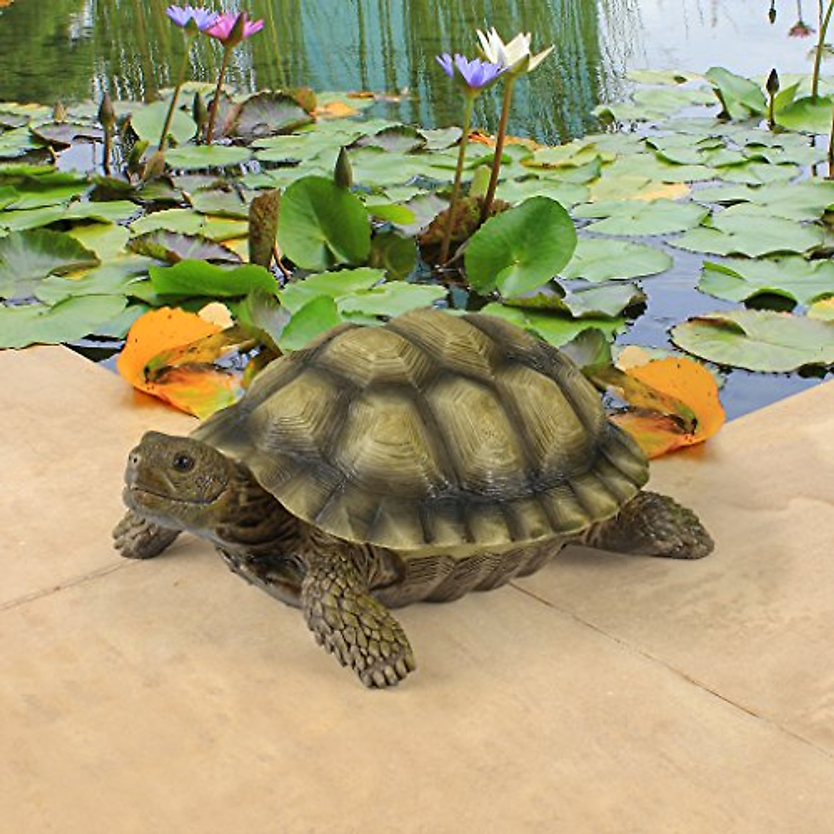 Design Toscano QM1887611 Gilbert The Box Turtle Garden Decor Animal Statue, 9 Inch, Single, Full Color