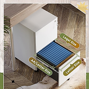 DEVAISE 2-Drawer Mobile File Cabinet with Lock, Commercial Vertical Cabinet in White