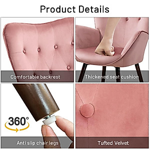 FurnitureR Velvet Accent Chair, Modern Wingback Tufted Vanity Armchair Upholstered Tall Back with Arms Solid Wood Legs for Living Bedroom Waiting Room Lounge Leisure, Rose