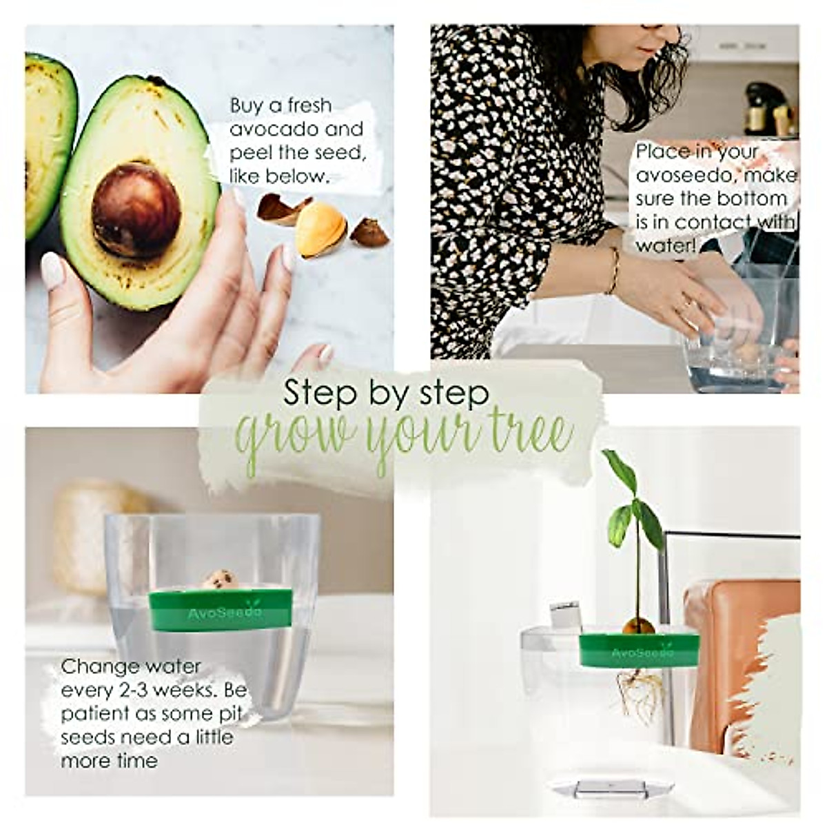 AvoSeedo Avocado Tree Growing Kit, Green, Practical Gifts for Women, Mom, Sister & Best Friend, Plant Indoors with Novelty Pit Grower Boat & Kitchen Garden Seed Starter