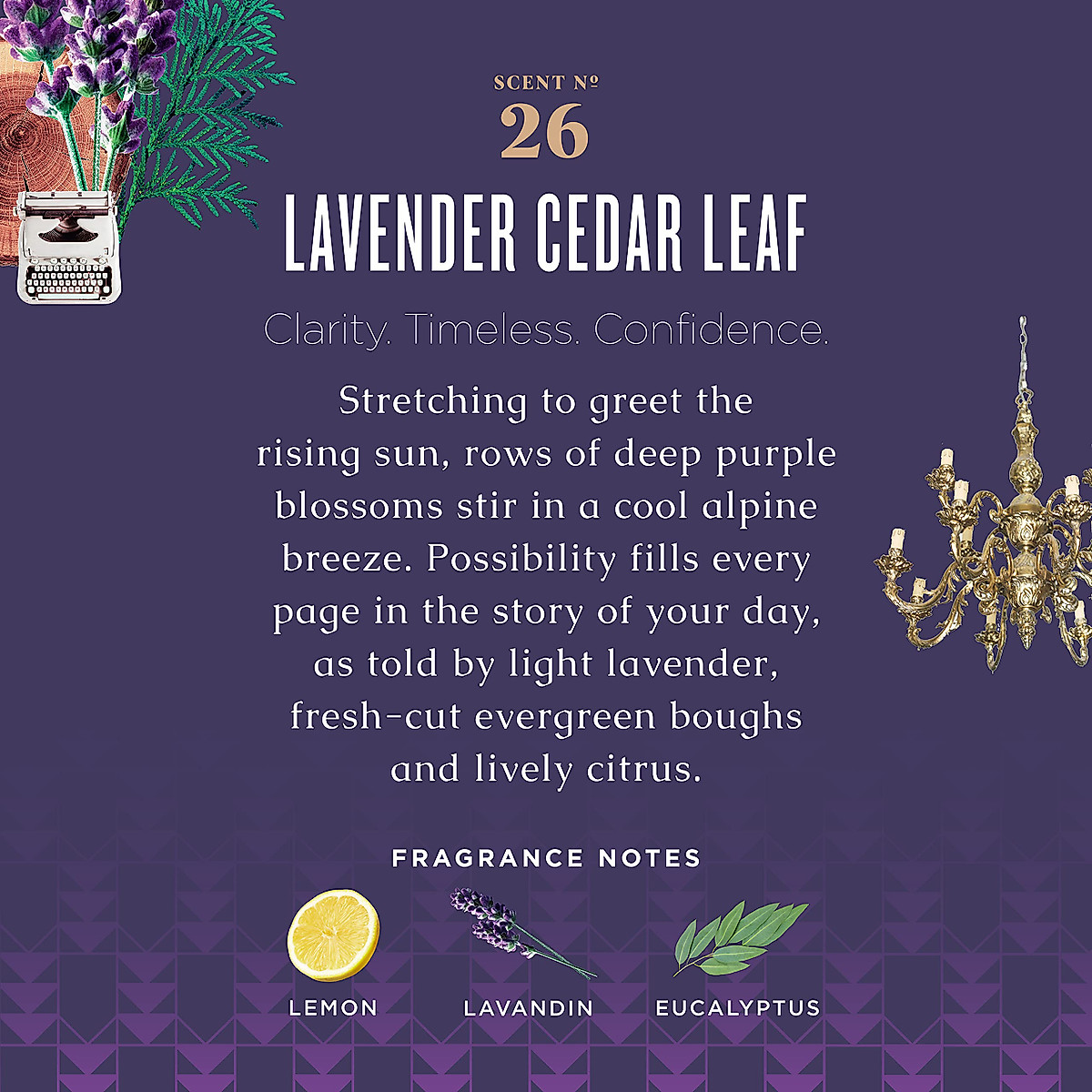 Caldrea Multi-surface CounterTop Spray Cleaner, Made With Vegetable Protein Extract, Lavendar Cedar Leaf Scent, 16 Oz