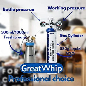 GreatWhip Whipped Cream Chargers, 615g Whip Cream Charger Cylinder, 6 Cylinders (1 Carton)