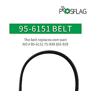 POSFLAG 99-9313 Snow Blower Paddles with 95-6151 Drive Belt Replaces 125-1128 55-9250 55-9251 88-0771 for Toro CCR 2400, CCR 2450, CCR 2450 GTS, CCR 3000, CCR 3600, CCR 3650, CCR 3650 GTS Snowthrowers