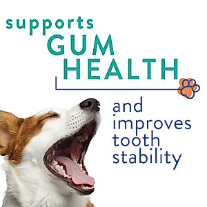 ProBesties Complete Dental Care for Dogs (sm), Probiotic Food Topper Dental Powder for Dogs - Bad Breath Treatment for Dogs - Dog Breath Freshener & Perio Support - Dog Bad Breath Eliminator