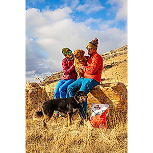 Nulo Frontrunner Dry Dog Food for Adult Dogs - Grain Inclusive Recipe with Beef, Barley, & Lamb - All Natural Pet Foods with High Taurine Levels - Animal Protein for Lean Strong Muscles