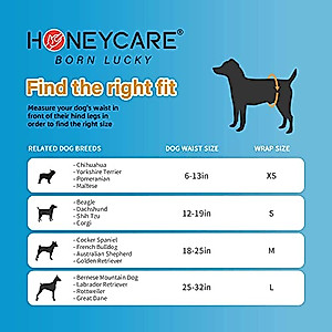 All-Absorb A25 Male Dog Wrap, 50 Count, Medium, White