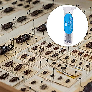 VILLCASE 300pcs Insect Pins Stainless Steel Specimen Pins Entomology Pins for Dissection Butterfly Collections Silver Size XS