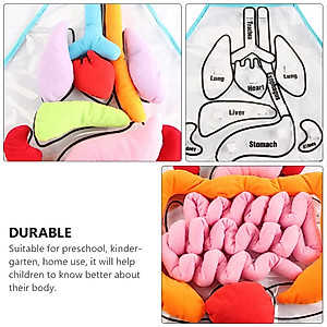Mikikit 3D Organ Apron Organ Apron: 1 Set Versatile Apron Kindergarten Teaching Anatomy Apron Human Body Organs Awareness Educational Toy Human Internal Organs Teaching Equipment