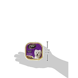 CESAR Adult Soft Wet Dog Food Filets in Gravy, Filet Mignon Flavor, 3.5 oz. Tray