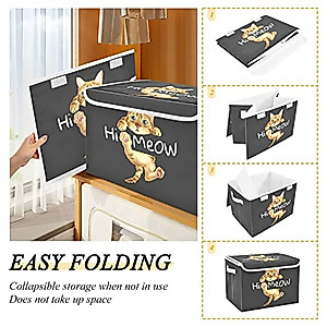 DOMIKING Funny Cat Large Storage Bin with Lid Collapsible Shelf Baskets Box with Handles Closet Organizer for Clothes Toy Gift Storage