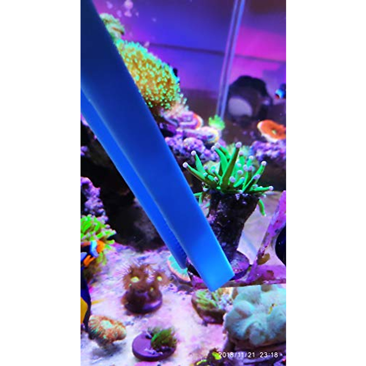 Aquarium Choice Coral Feeder Long Syringe Reef Feeder SPS HPS Marine Reef Coral Feeder Tool Fish Excreta Cleaner (11.8 inch Coral Tweezers Never Rust)