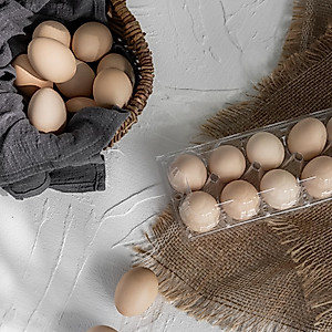 ALISWAT Clear Plastic Egg Carton for 12 Eggs, 48Pack Egg Tray Reusable Medium Size Egg Cartons Suitable for Refrigerator Chicken Farm Markets, Egg Cartons Cheap Bulk, 2x6Grids