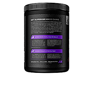 Mass Gainer, MuscleTech 100% Mass Gainer Protein Powder, Protein Powder for Muscle Gain, Whey Protein + Muscle Builder, Weight Gainer Protein Powder, Creatine Supplements, Chocolate, 5.15 lbs