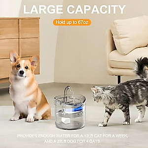 Cat Water Fountain, 67oz / 2L Automatic Dog Water Dispenser, Super Silent, Transparent Water Tank Pet Fountain for Cats Dogs Multiple Pets (with External Sensor)