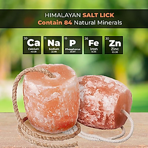 Himalayan Salt Lick 4-5 lbs | Pack of 4 | Salt Lick Deer | Licking Salt for Horses |Himalayan Licking Salt for Animals | Deer Salt Lick Block | Block Salt on Rope.