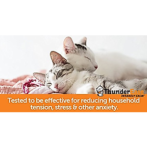 ThunderEase Multicat Calming Pheromone Diffuser Kit | Powered by FELIWAY | Reduce Cat Conflict, Tension and Fighting (30 Day Supply)