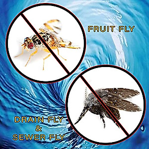 Fruit Fly & Drain Fly Killer - Simple Commercial Drain Gel Treatment - Eliminates Gross Fruit Flies, Drain Flies, Sewer Flies & Gnat Infestations from Any Drain. Fast & Easy - (128 Oz, Case of 4)