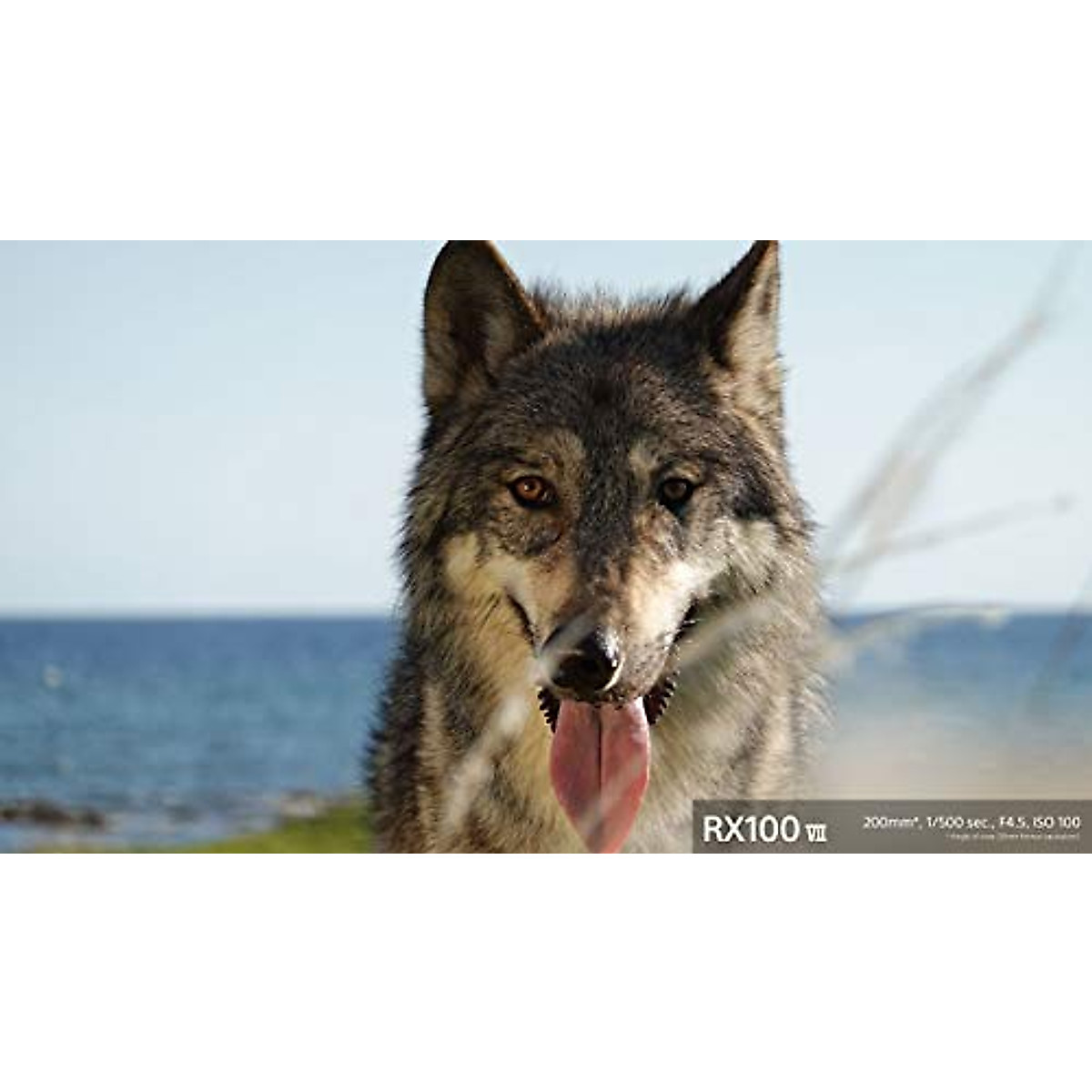 Sony RX100 VII Premium Compact Camera with 1.0-type stacked CMOS sensor (DSCRX100M7)