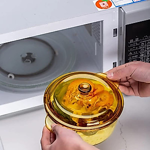 Glass Saucepan with Cover 1L/ 34 FL OZ Heat- Resistant Glass Stovetop Pot and Pan with Lid