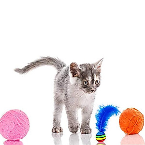 PET SHOW Pack of 5pcs 1.4” Cat Toys Balls Soft EVA Foam with Feathers Colorful Rainbow Toy Balls Interactive Kitten Cats Small Dogs Puppies Doggies Quiet Indoor Outdoor Play Activity Chase Training