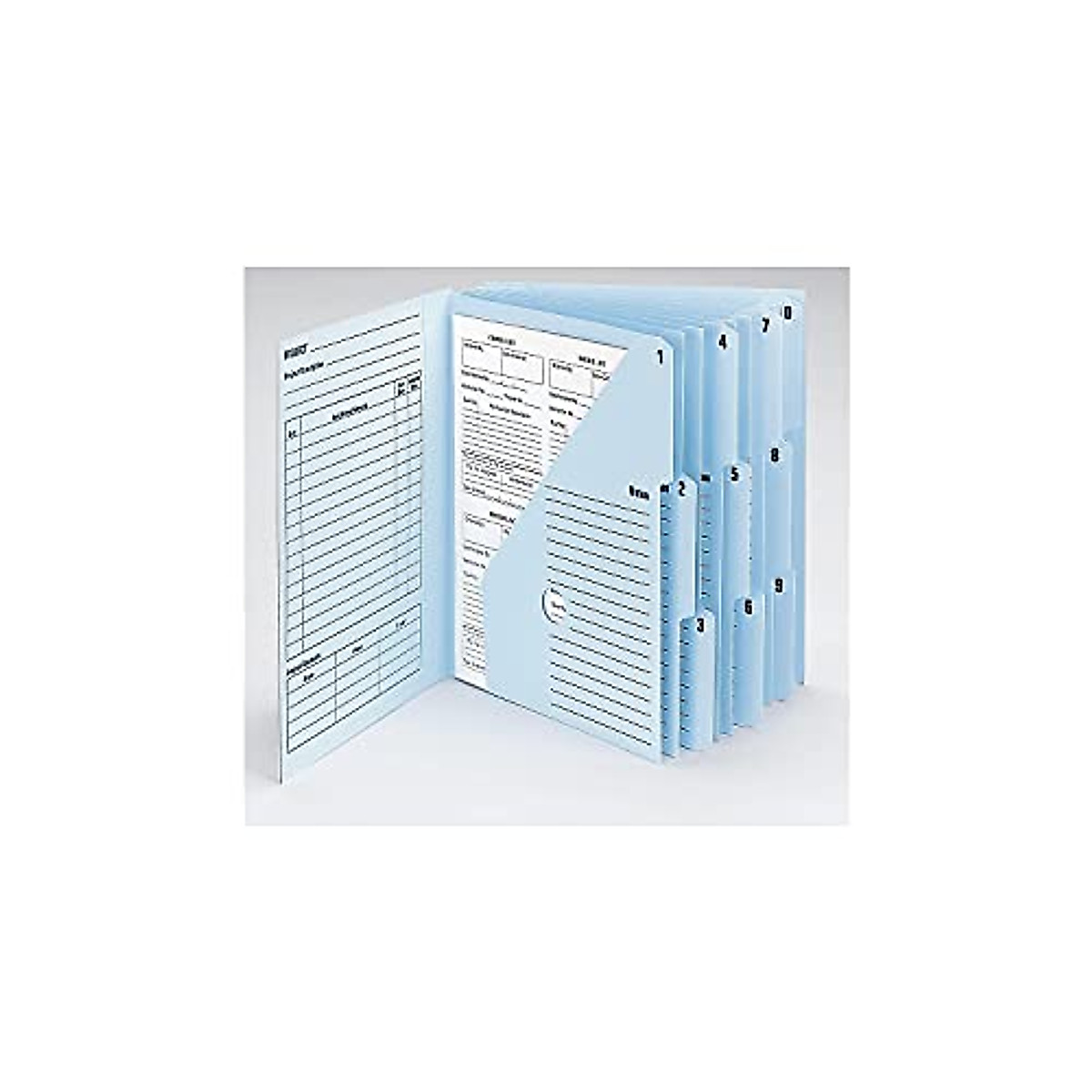 Smead Project Organizer, 10 Pockets, Closed Sides, Preprinted Templates, Reinforced Tabs, Letter Size, Navy/Lake Blue (89200)